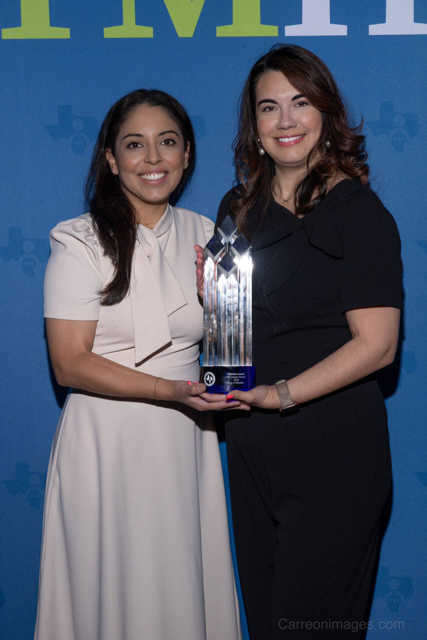 2024 Awards Nominations and Winners – TMHRA